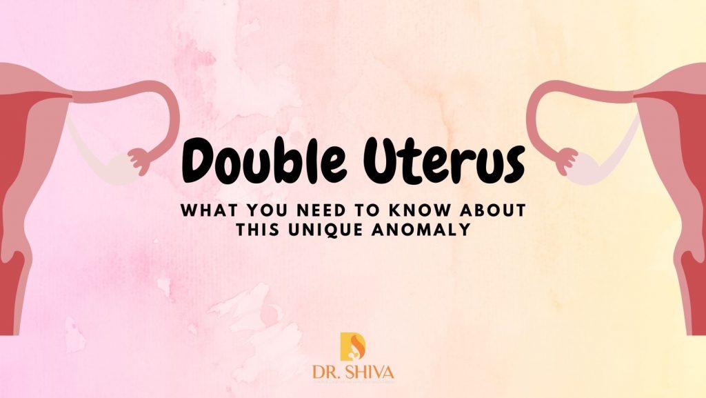 Uterus Didelphys Or Double Uterus Causes Symptoms And Treatment Two
